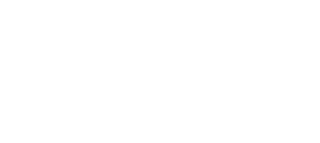 Swamp the Vote, Georgia